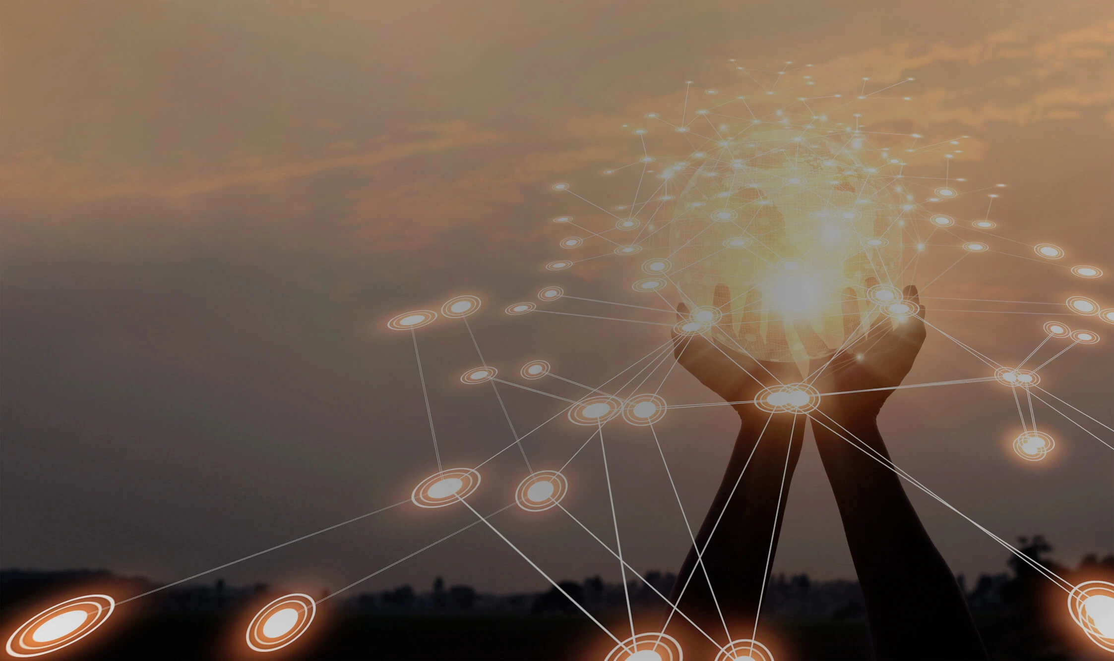 OpenModelsとCreatio、国内独占代理店契約を締結 | 株式会社OpenModels